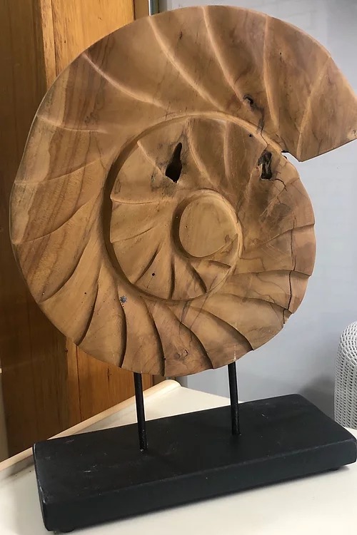 Sea Shell Carved Sculpture 50CM - Prime Adelaide